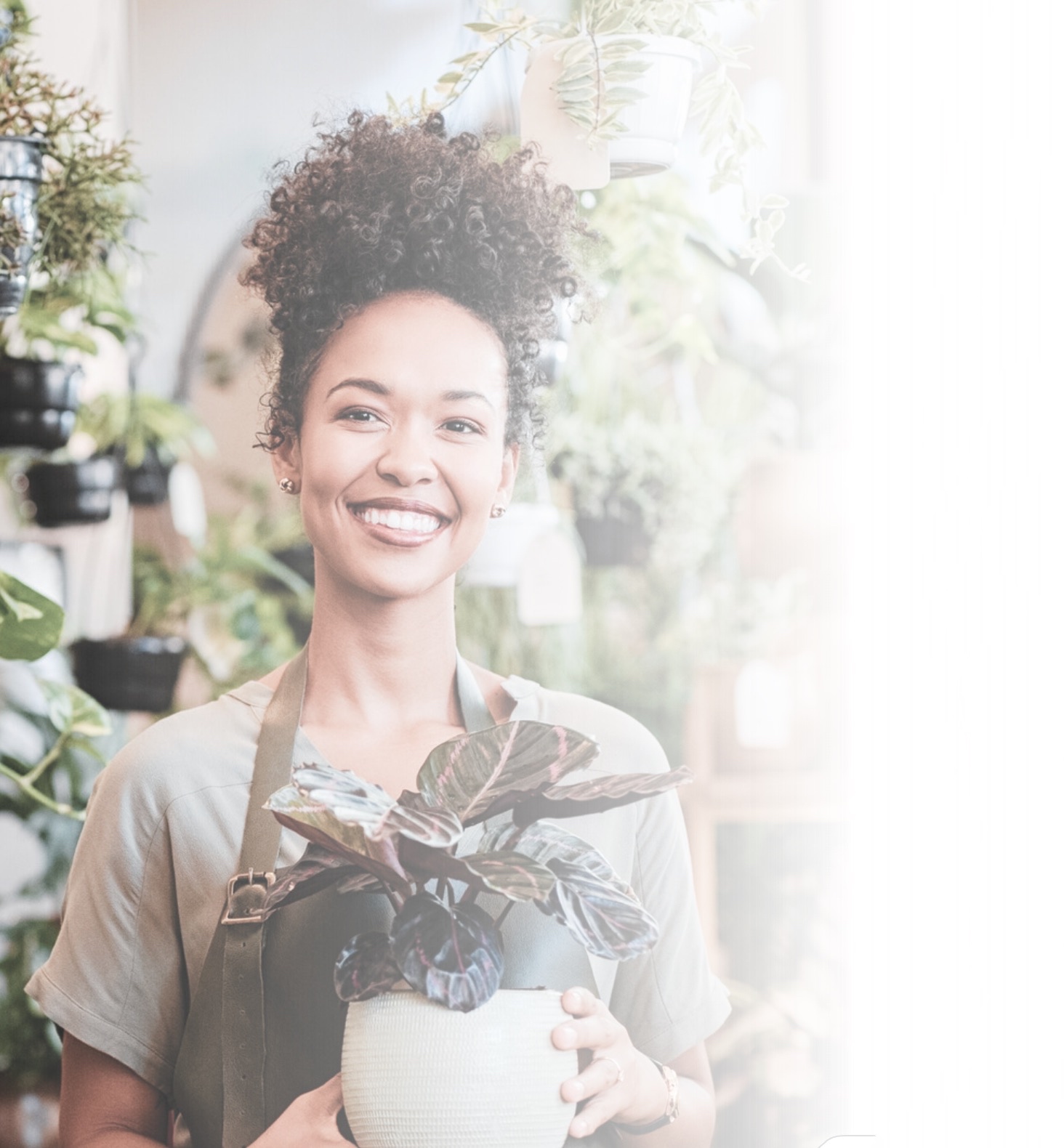 Thrive - Copper Seed